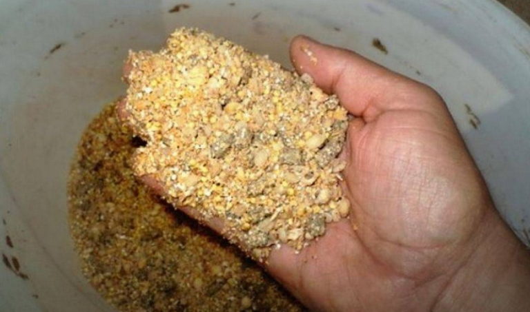 Прикормка на карася своими руками: наживка, приманка, подкормка, рецепт ...